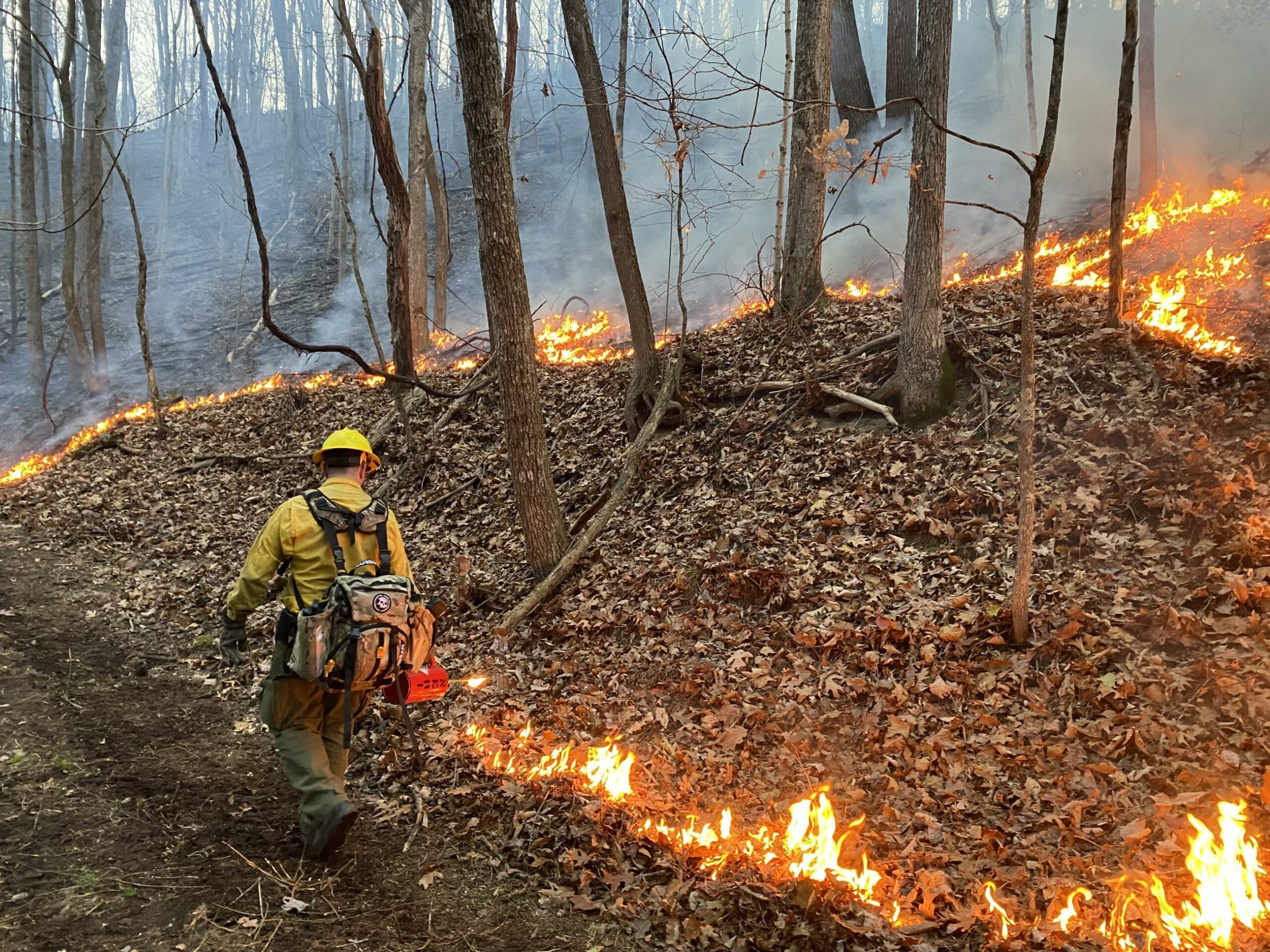 Steep Valley Fire 6 - WV MetroNews