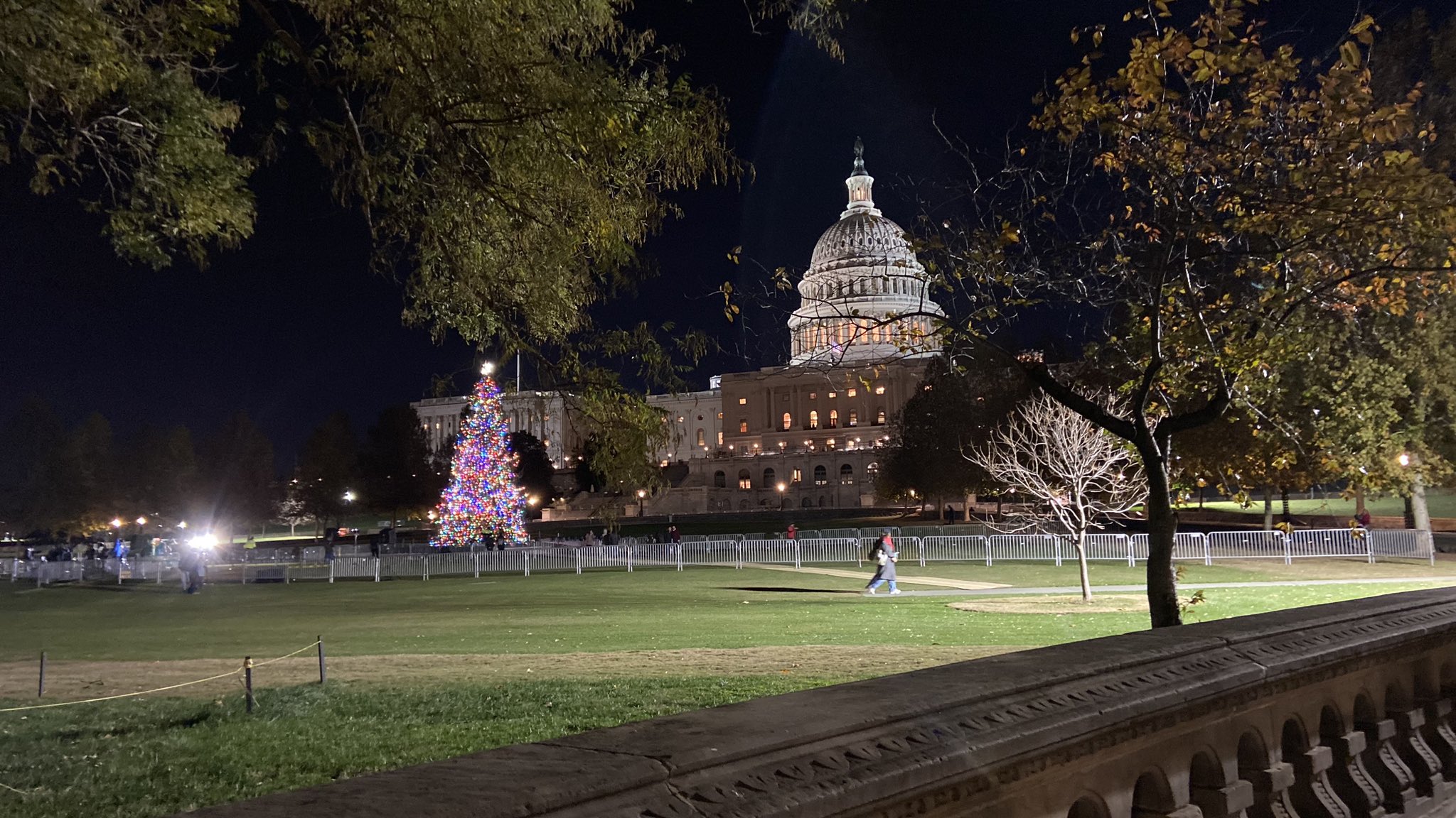 West Virginia is well represented at Christmas tree lighting ceremony ...