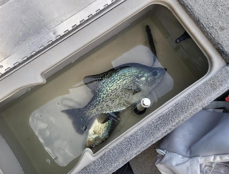 Roane County angler catches the inaugural black crappie record - WV ...