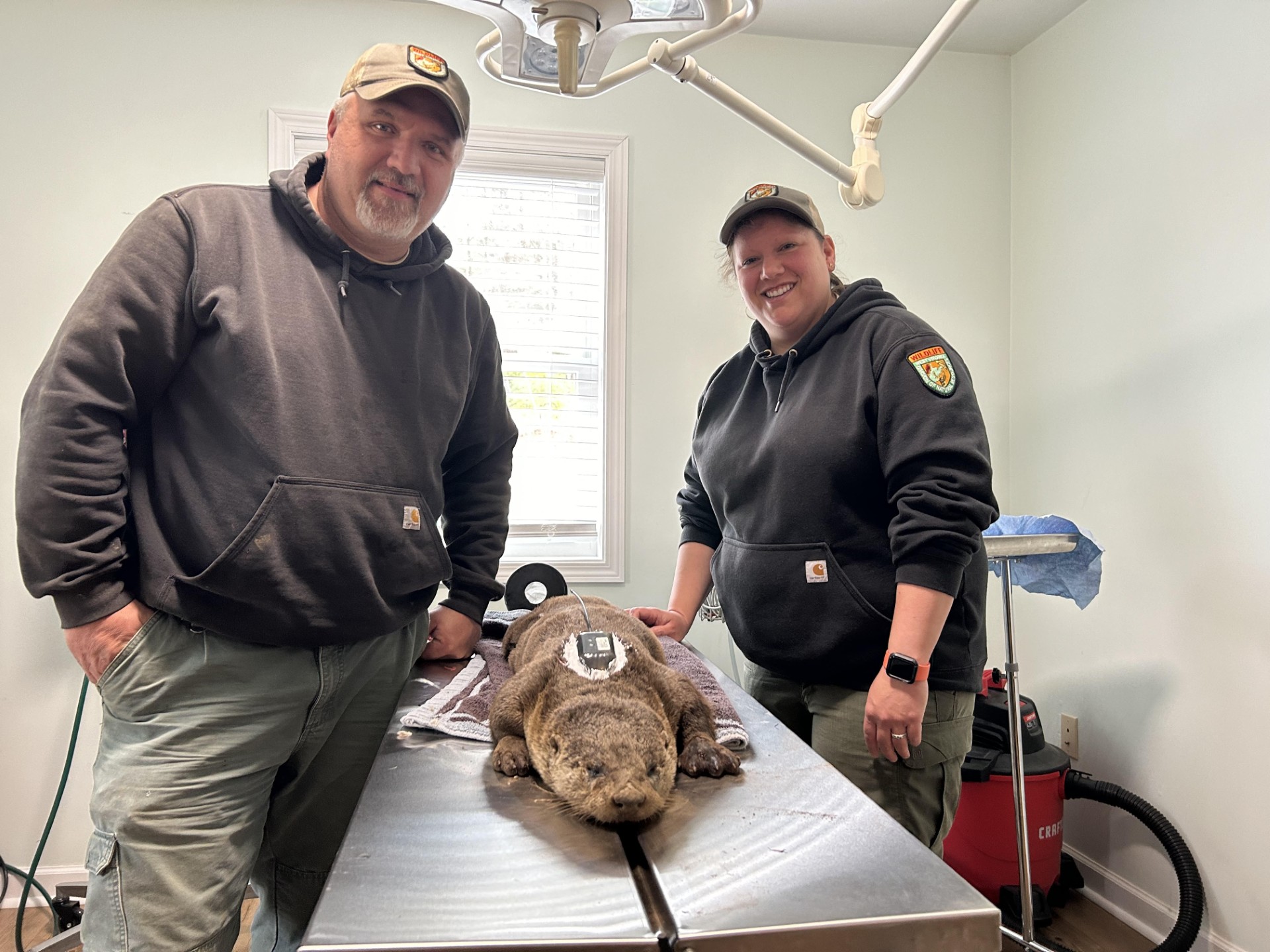 Sportsmen raise concern about otter impacts on West Virginia streams ...