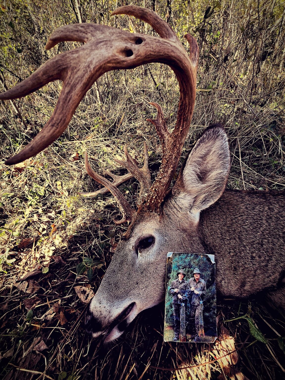 Jackson County hunter roots out a big buck from the most unlikely of ...