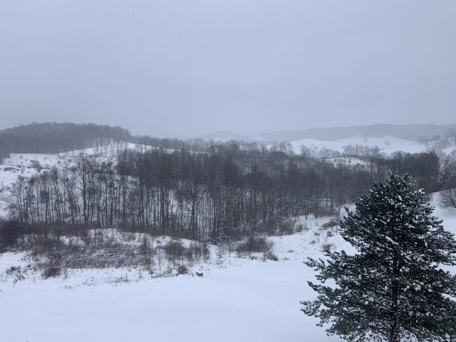 West Virginia snowfall photo gallery - WV MetroNews