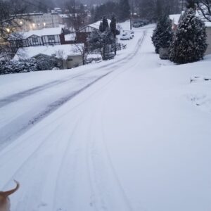 West Virginia snowfall photo gallery - WV MetroNews