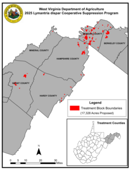 Department of Agriculture seeks input on eastern panhandle gypsy moth ...