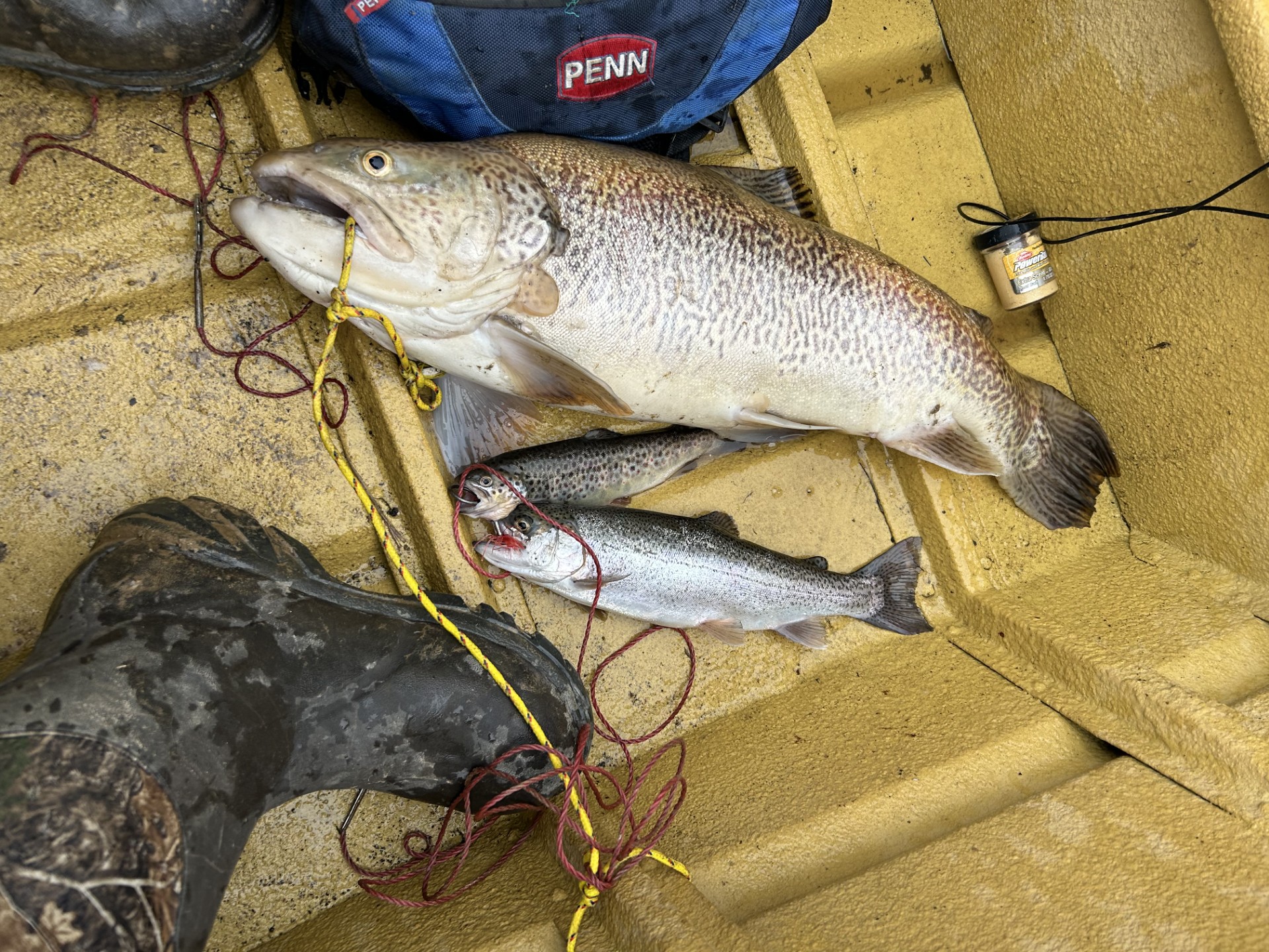 Marion County angler catches a new state record tiger trout - WV MetroNews