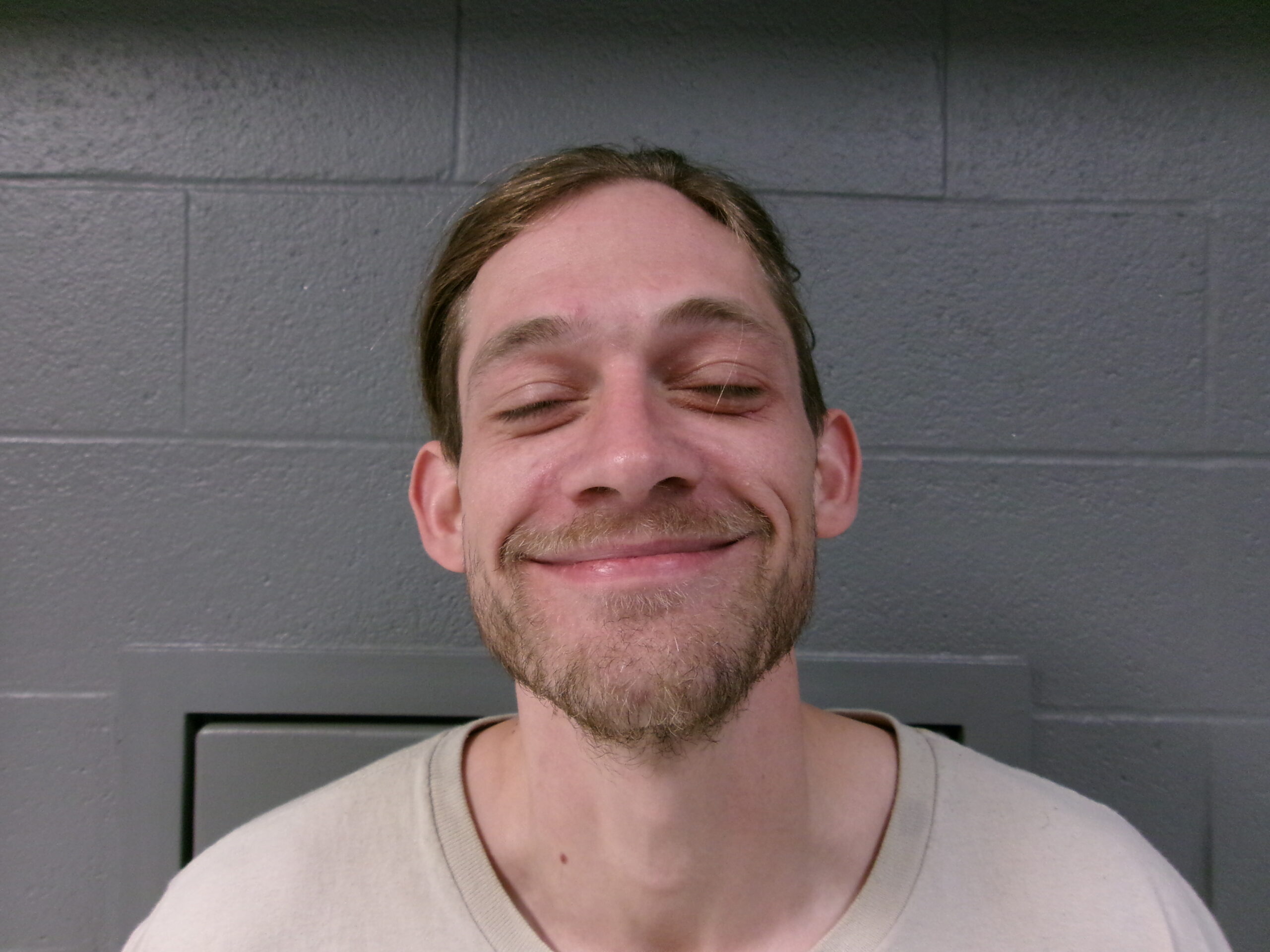 Ohio man allegedly tries to hit Elkins police officer, charged with ...