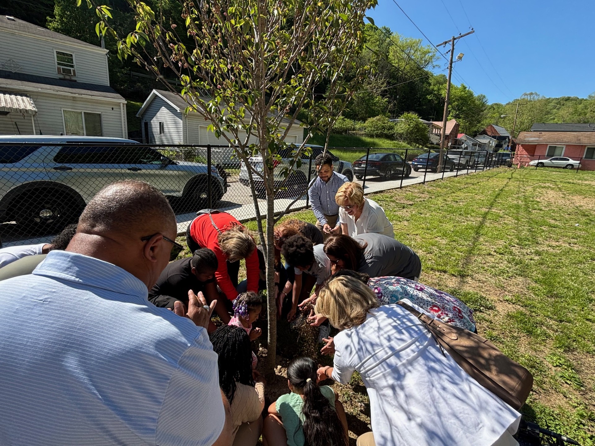 Charleston community celebrates Arbor Day with tree planting ceremony ...