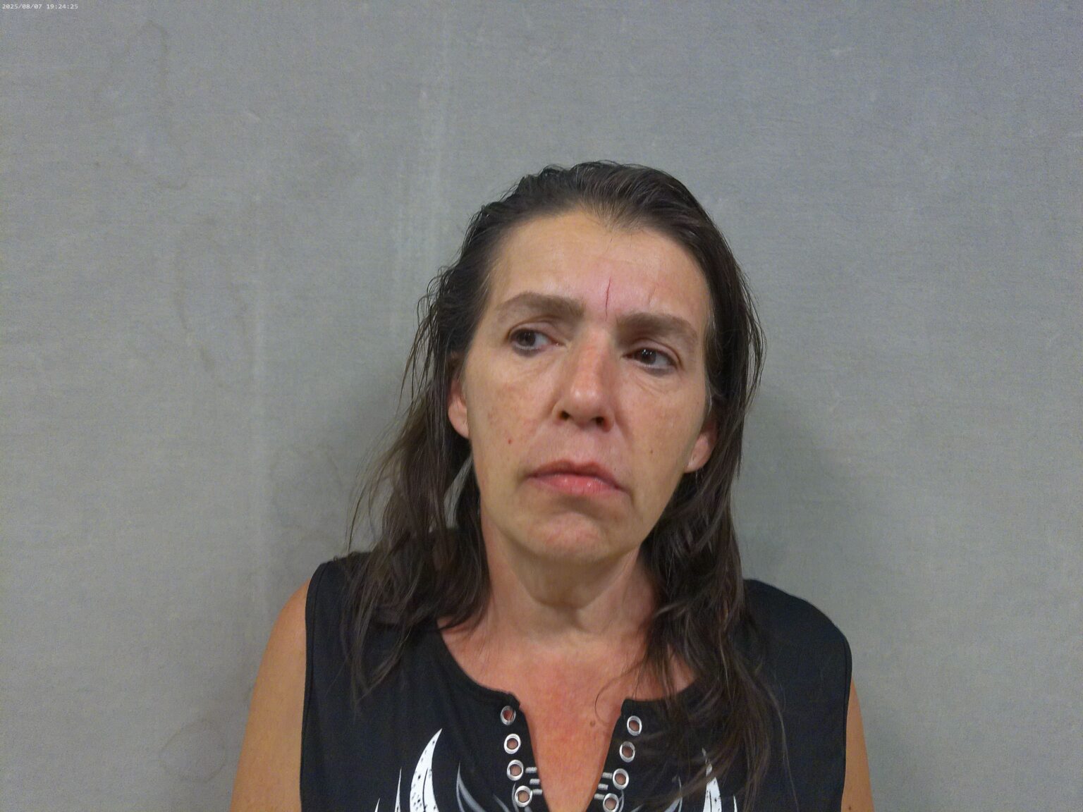 Braxton County couple accused of forcing children to take drugs – 103.3 ...