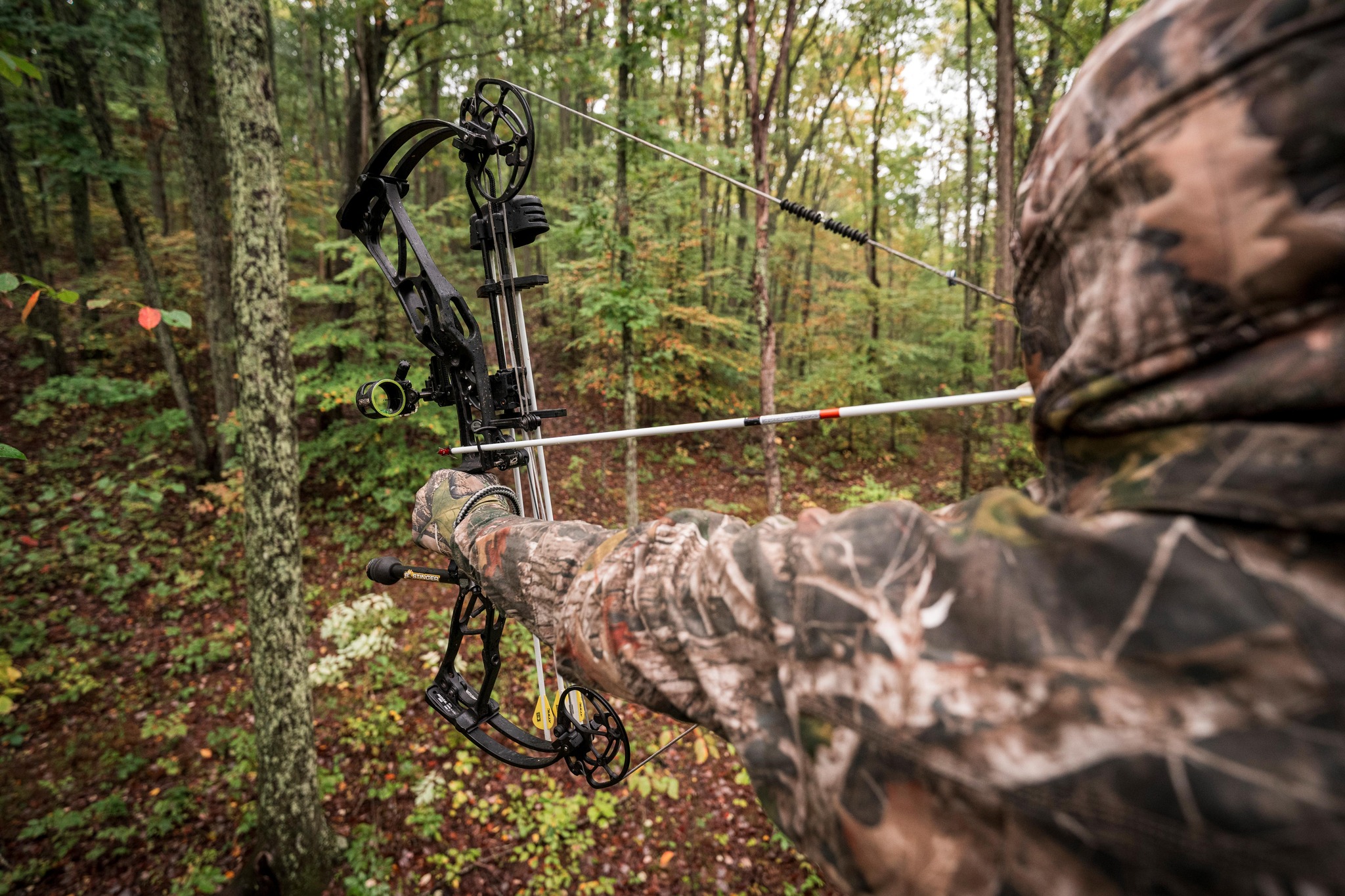 As archery season opens, deer hunting success expected to be down - WV ...