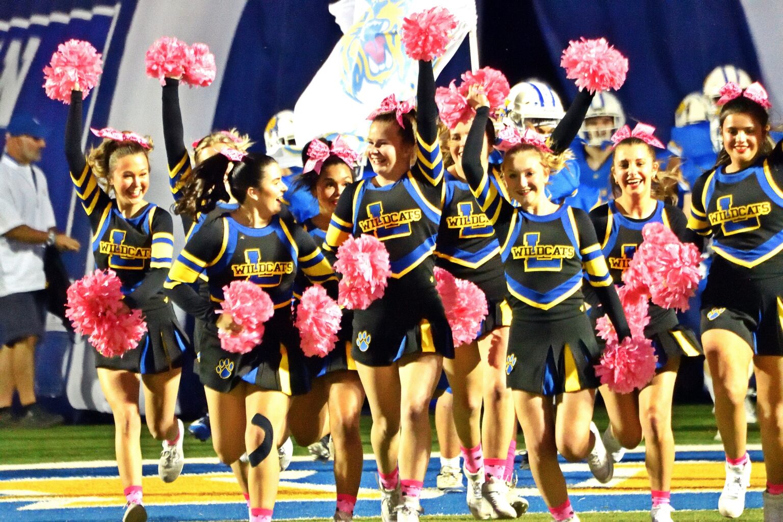 Photo gallery: Logan defeats Clay County, 14-6 - WV MetroNews