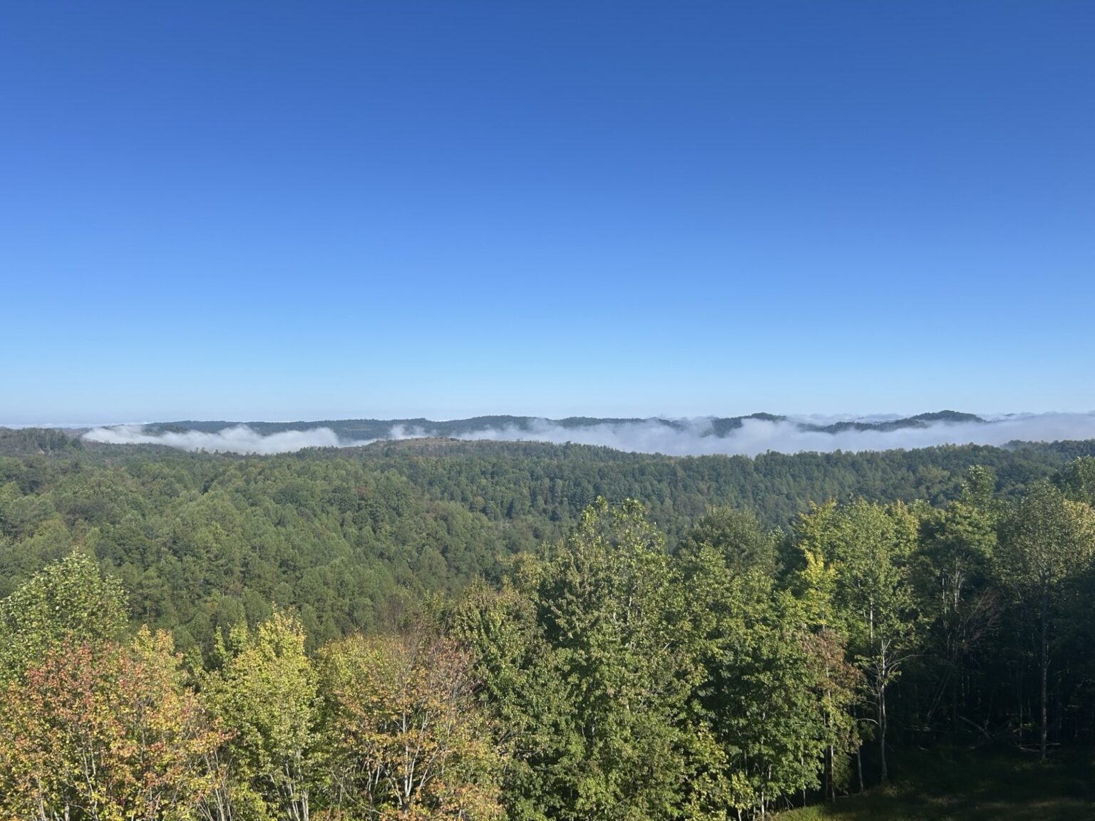 Elk viewing tower dedicated on Tomblin WMA in Logan County - WV MetroNews