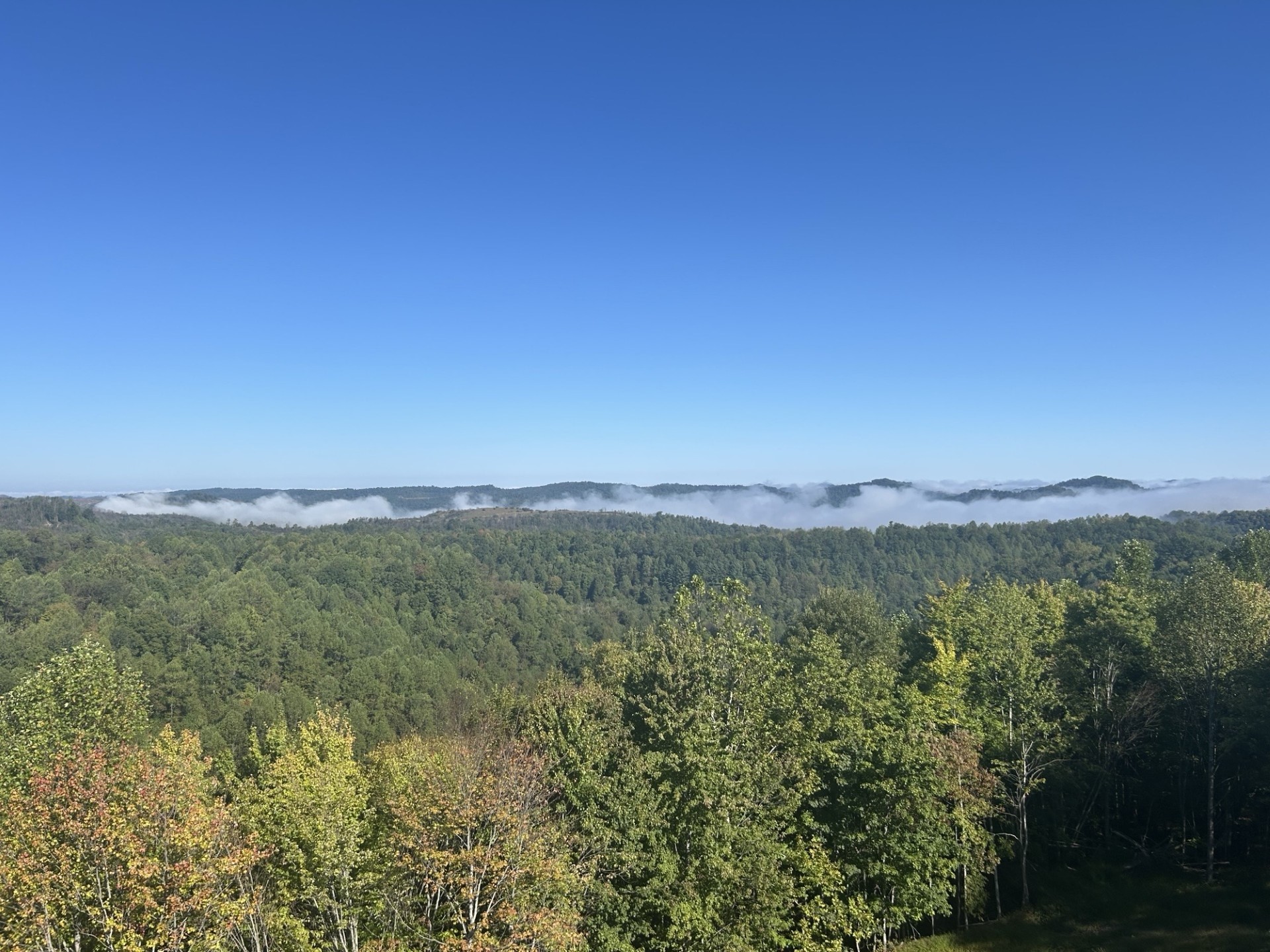 Elk viewing tower dedicated on Tomblin WMA in Logan County - WV MetroNews