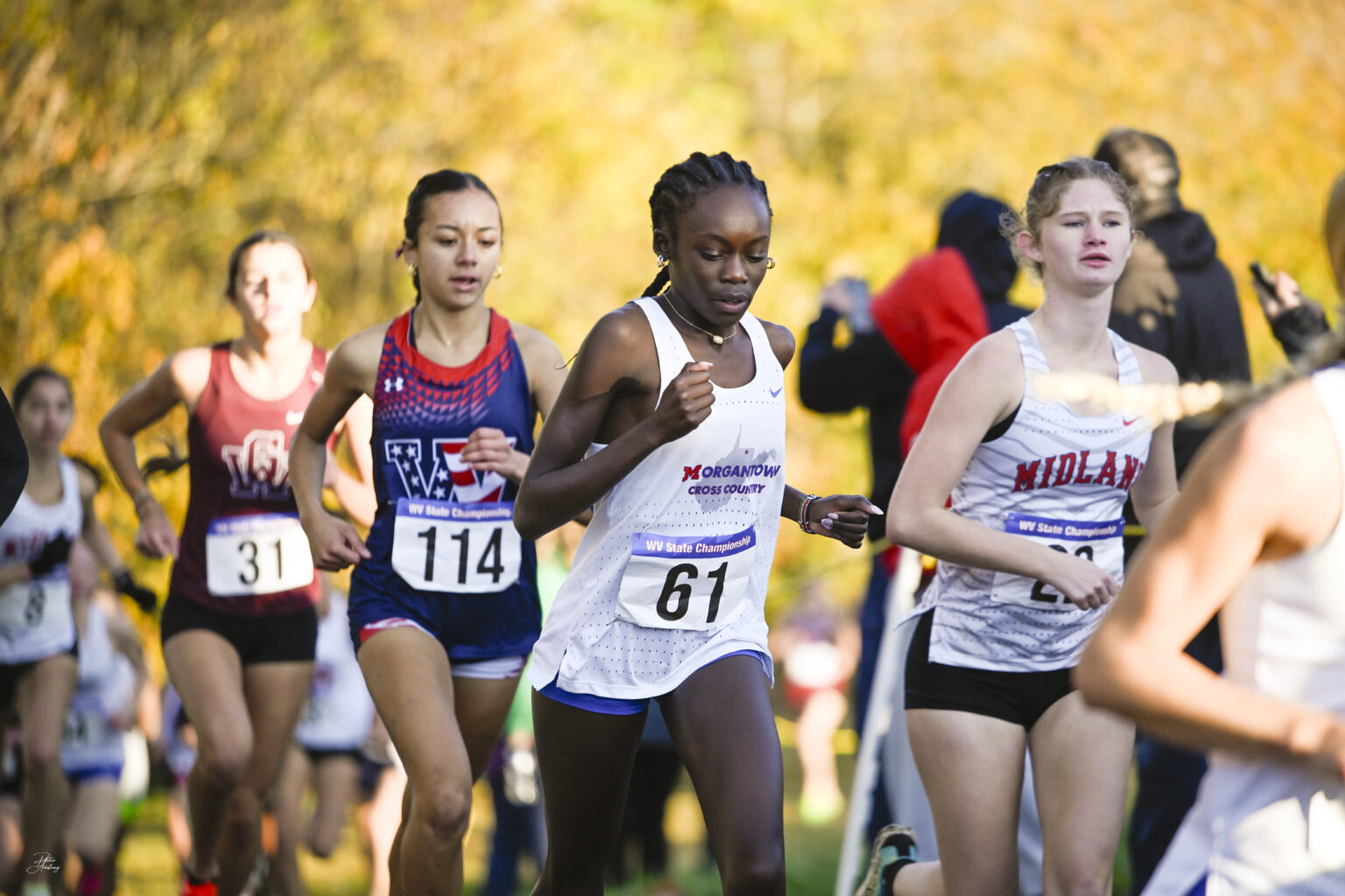 State cross country: UHS boys win seventh consecutive team title - WV ...