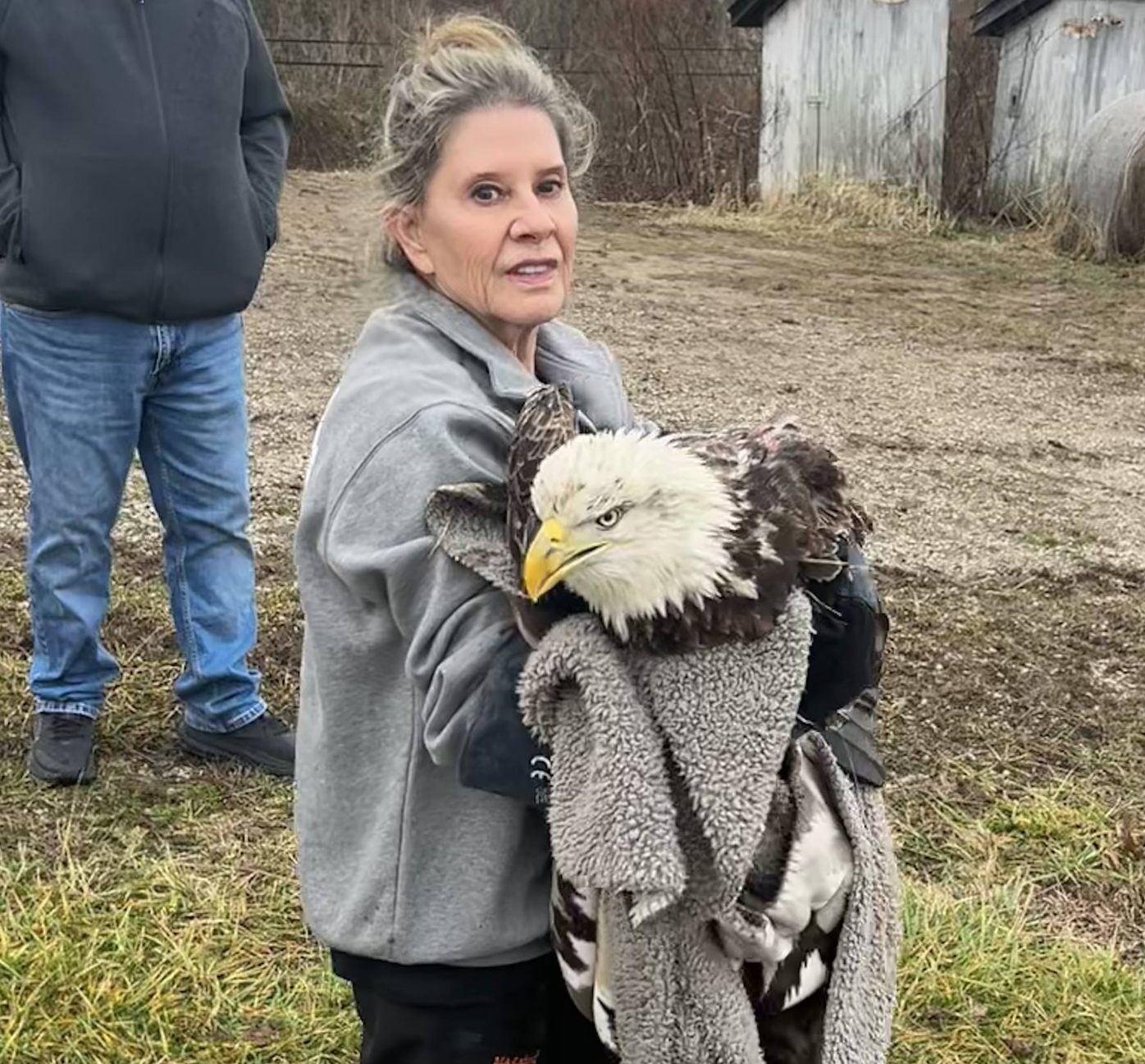 Jackson County Sheriff's Department reaches out for help after bald ...