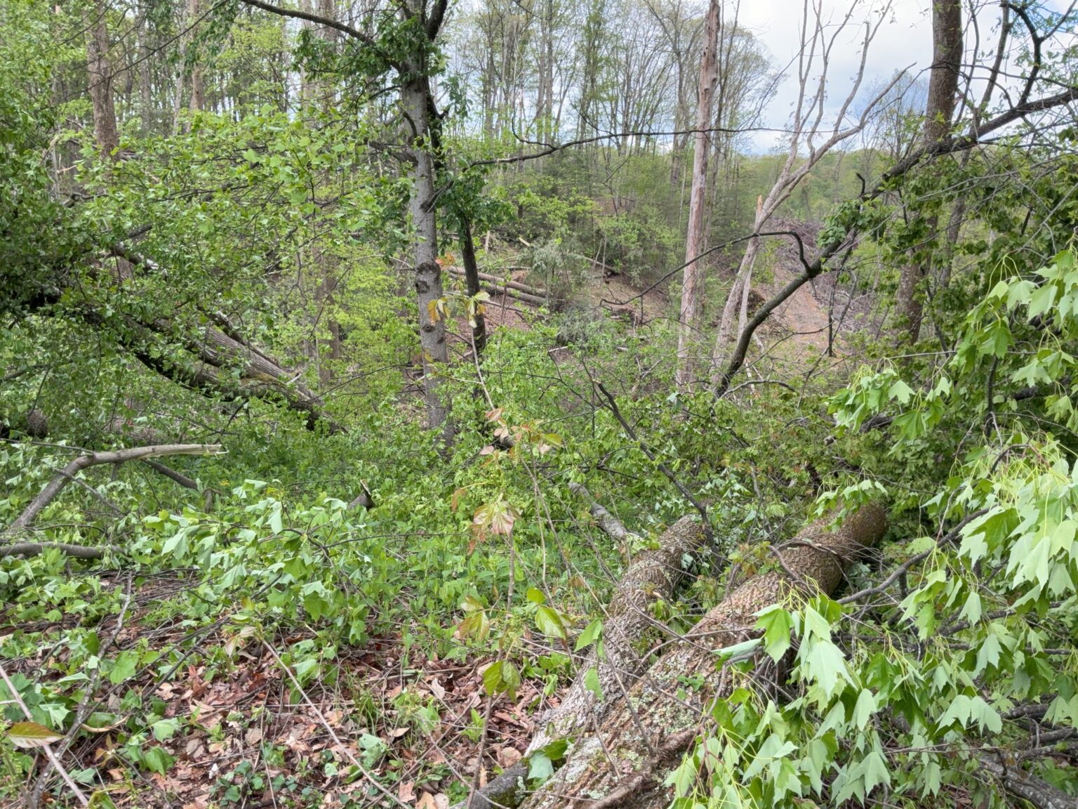 National Weather Service confirms tornado in Fayette County - WV MetroNews