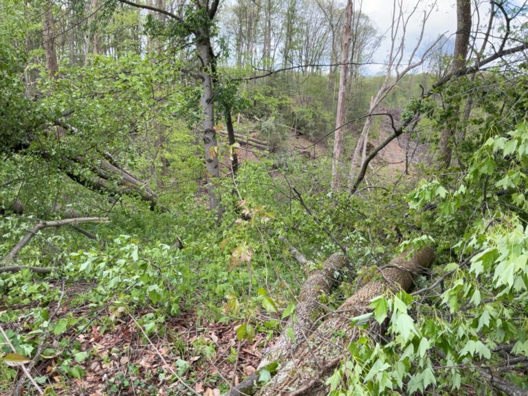 National Weather Service confirms tornado in Fayette County – WCHS ...