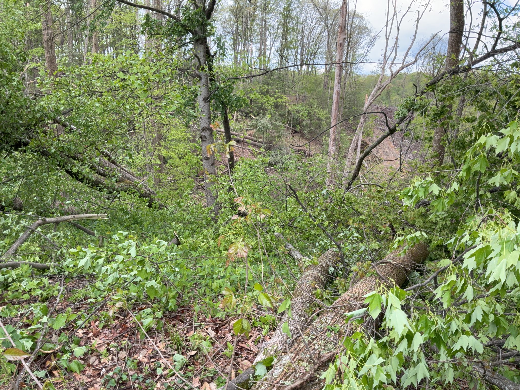 National Weather Service confirms tornado in Fayette County - WV MetroNews
