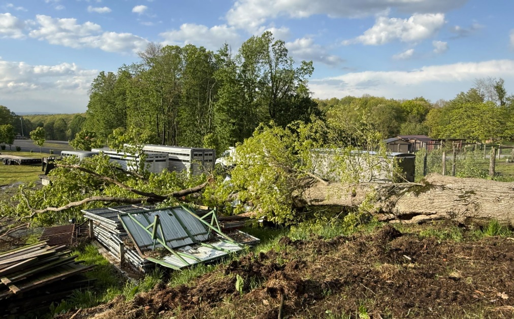 Preston County businesses cleaning up after storm damage - WV MetroNews