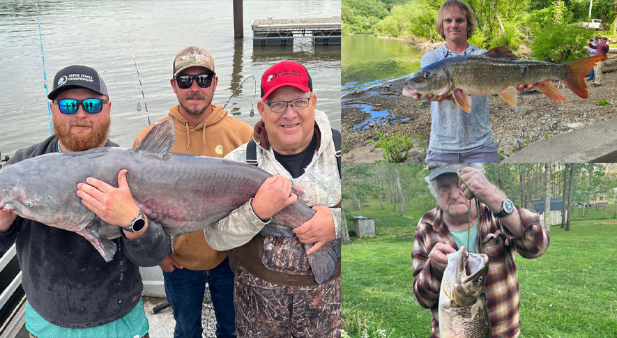 Anglers catch three new state record fish in a two-week span - WV MetroNews