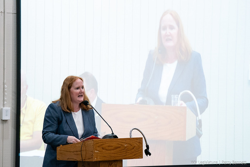 Economic development official tells lawmakers of 78 possible deals - WV ...