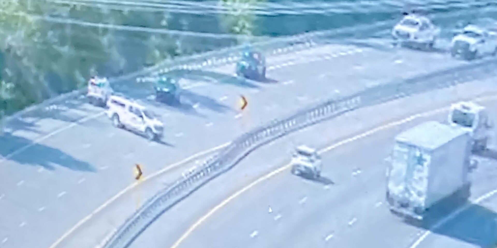 Search continues for cow seen walking down the interstate in Berkeley ...