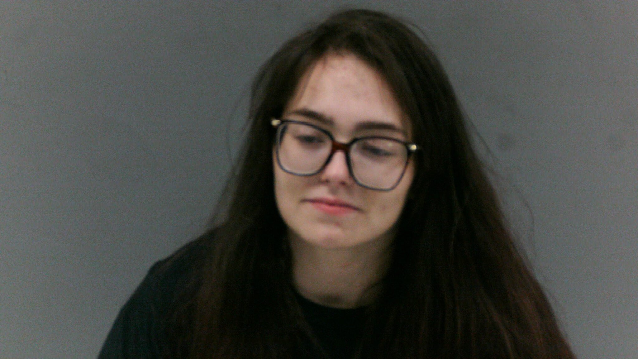 Logan County man and woman arrested following shots-fired incident in ...