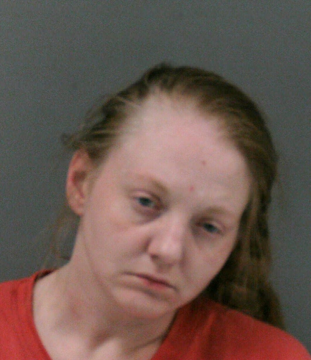Mingo County woman arrested for death caused by child neglect - WV ...
